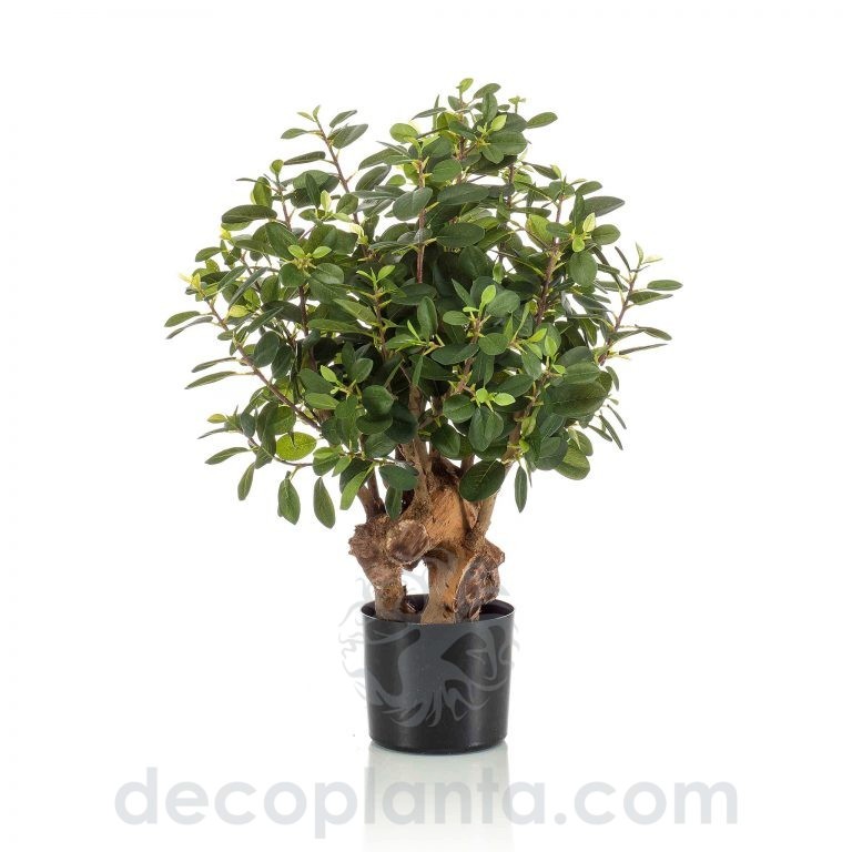 Árbol FICUS ECO artificial de alto realismo para decorar interiores