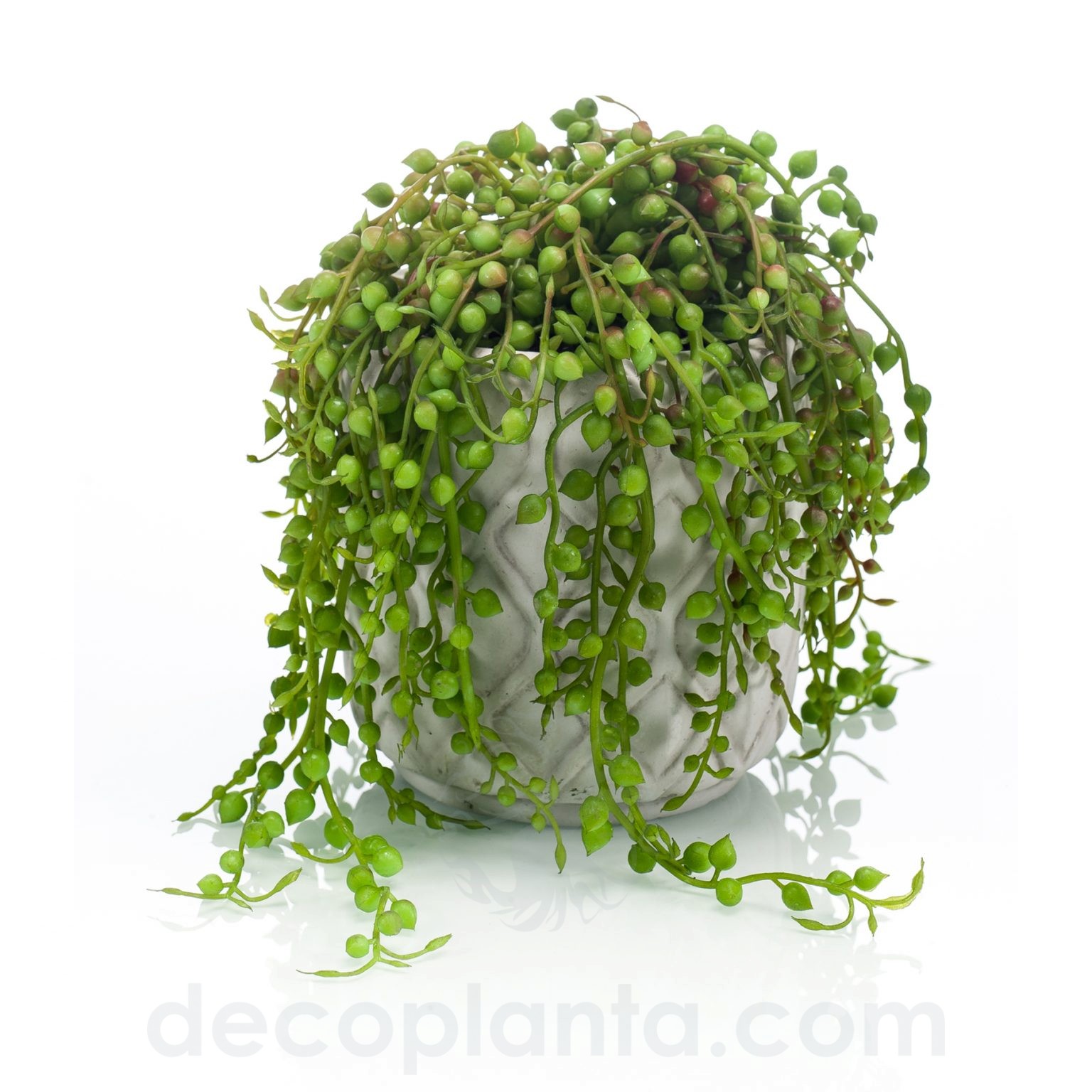 Planta de SENECIO artificial MINI de 15 cm, en base de cemento